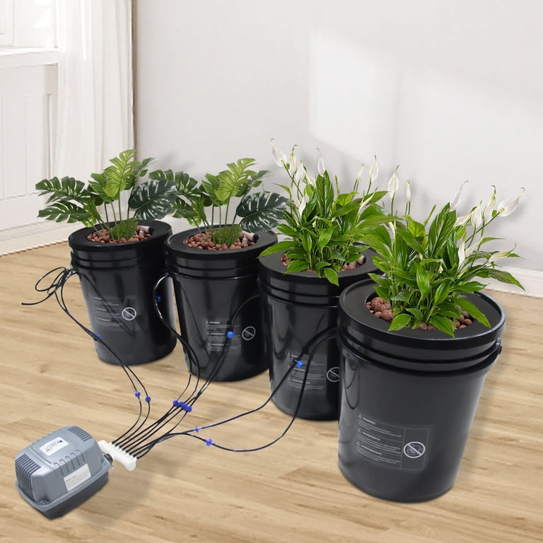 Outdoor Hydroponic Drip Systems My First Hydroponic System.