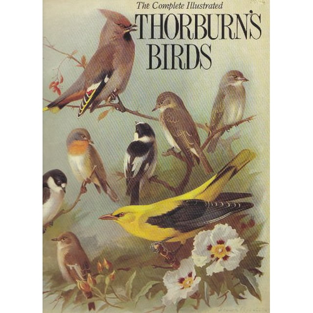 Pre-Owned Complete Illustrated Thorburn's Birds Hardcover - Walmart.com