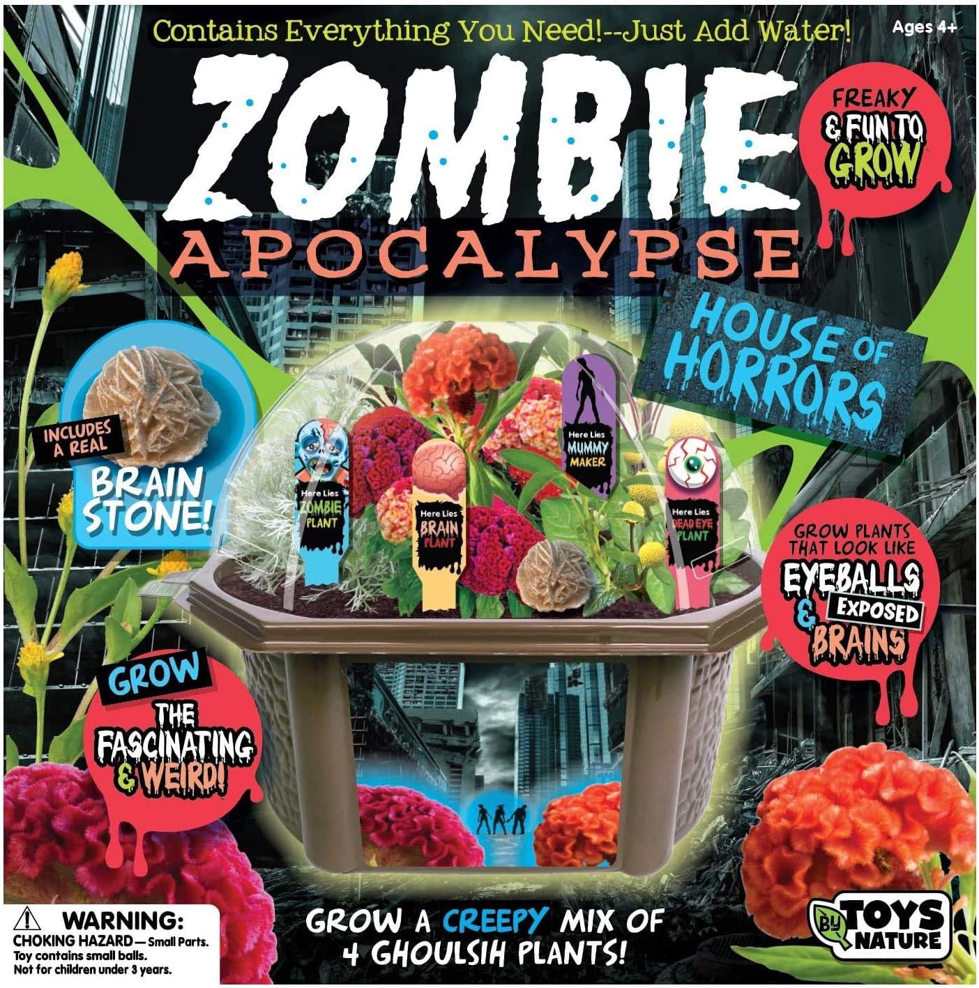 Complete Kids Terrarium Kit To Create Your Own Zombie Apocalypse - Grow ...