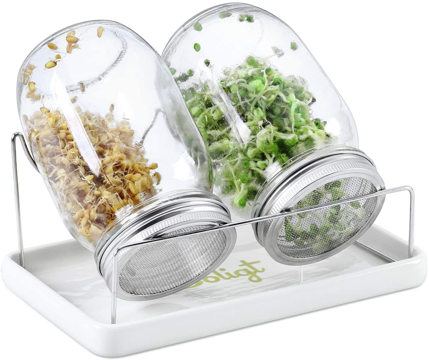 Complete Mason Jar Sprouting Kit - 2 Wide Mouth Quart Jars Stainless ...