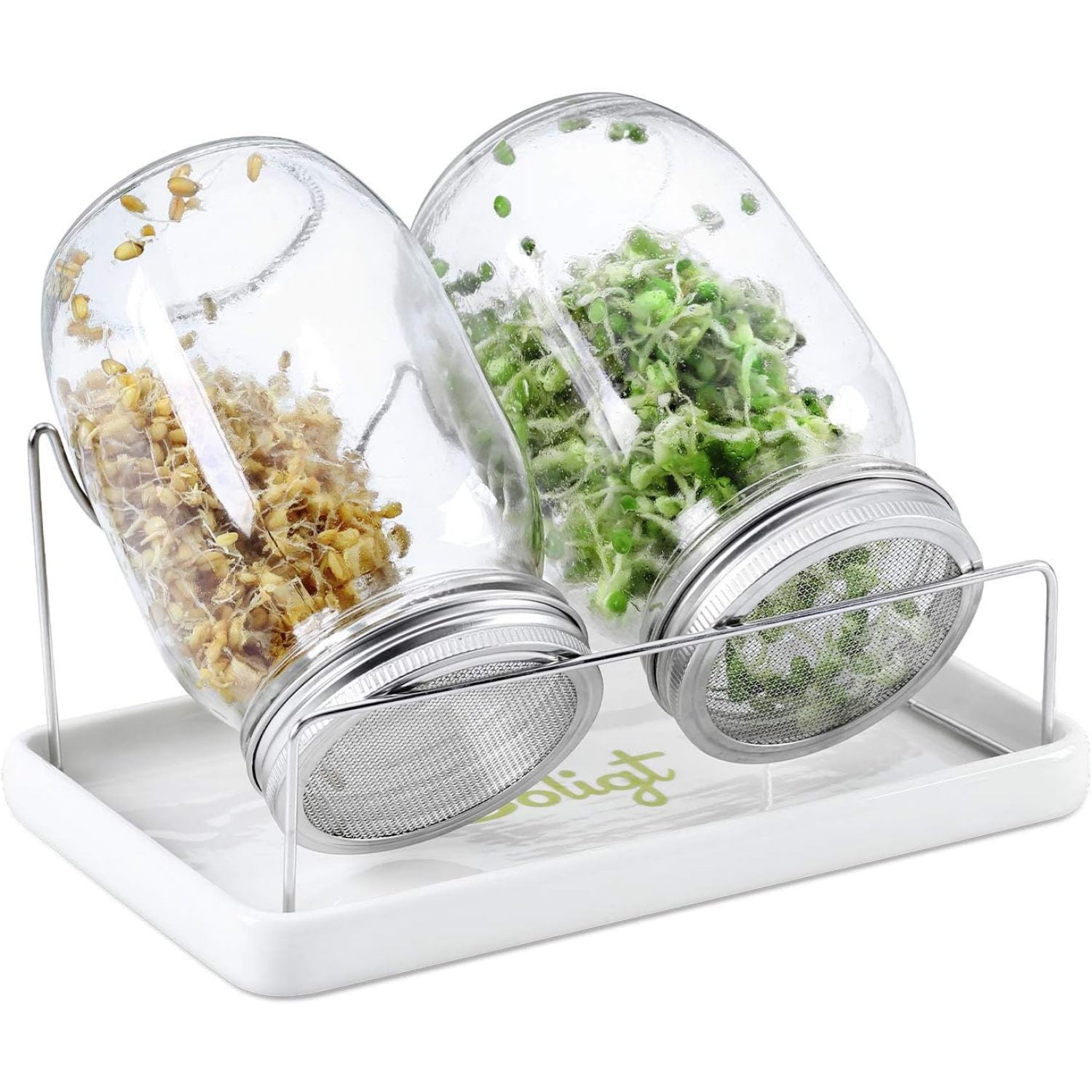 Complete Mason Jar Sprouting Kit - 2 Wide Mouth Quart Sprouting Jars ...