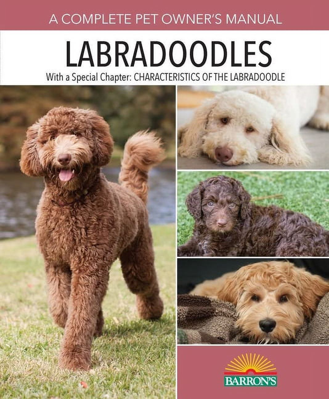 Complete Pet Owner's Manuals: Labradoodles (Paperback) - Walmart.com