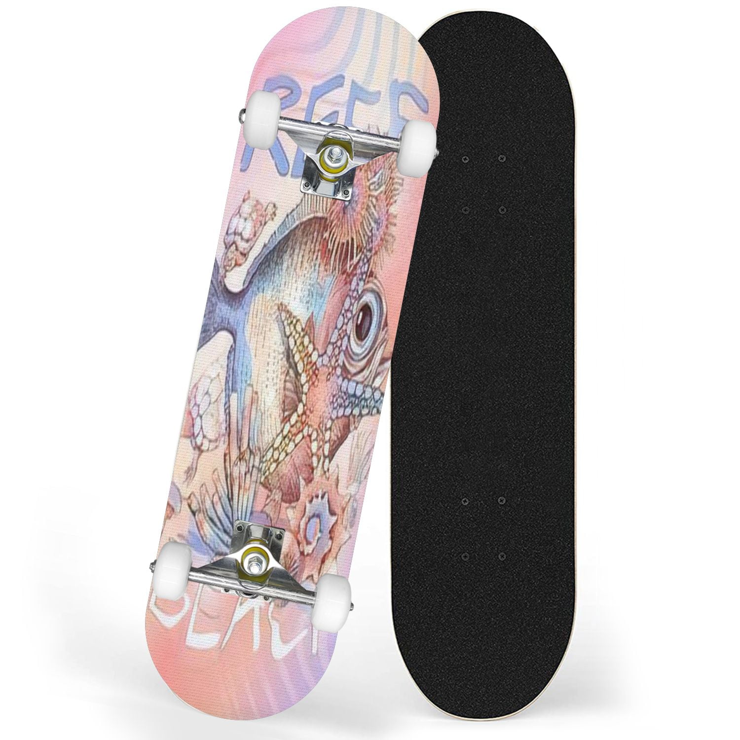 Complete Skateboards for Beginners,7 Layer Canadian Maple Double Kick ...