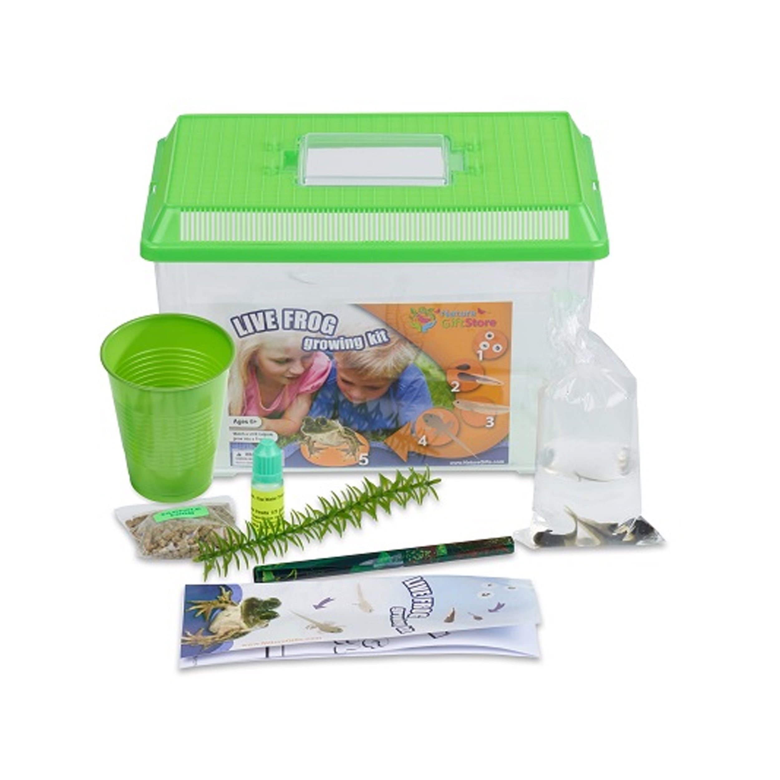 Educational Frog Development Kit - Includes 1 Live Tadpole, Food ...