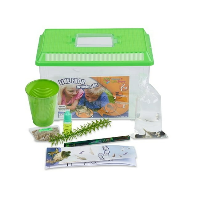 Educational Frog Development Kit - Includes 1 Live Tadpole, Food ...