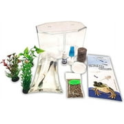 Frog Grow Kit