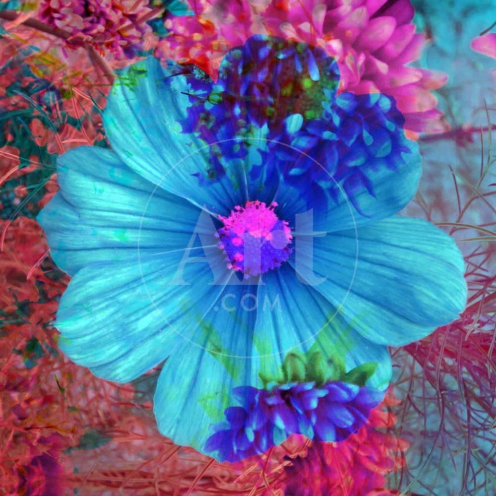 Composing with Blue Flowers, Botanical Unframed Photographic Print Wall Art by Alaya Gadeh Sold ...