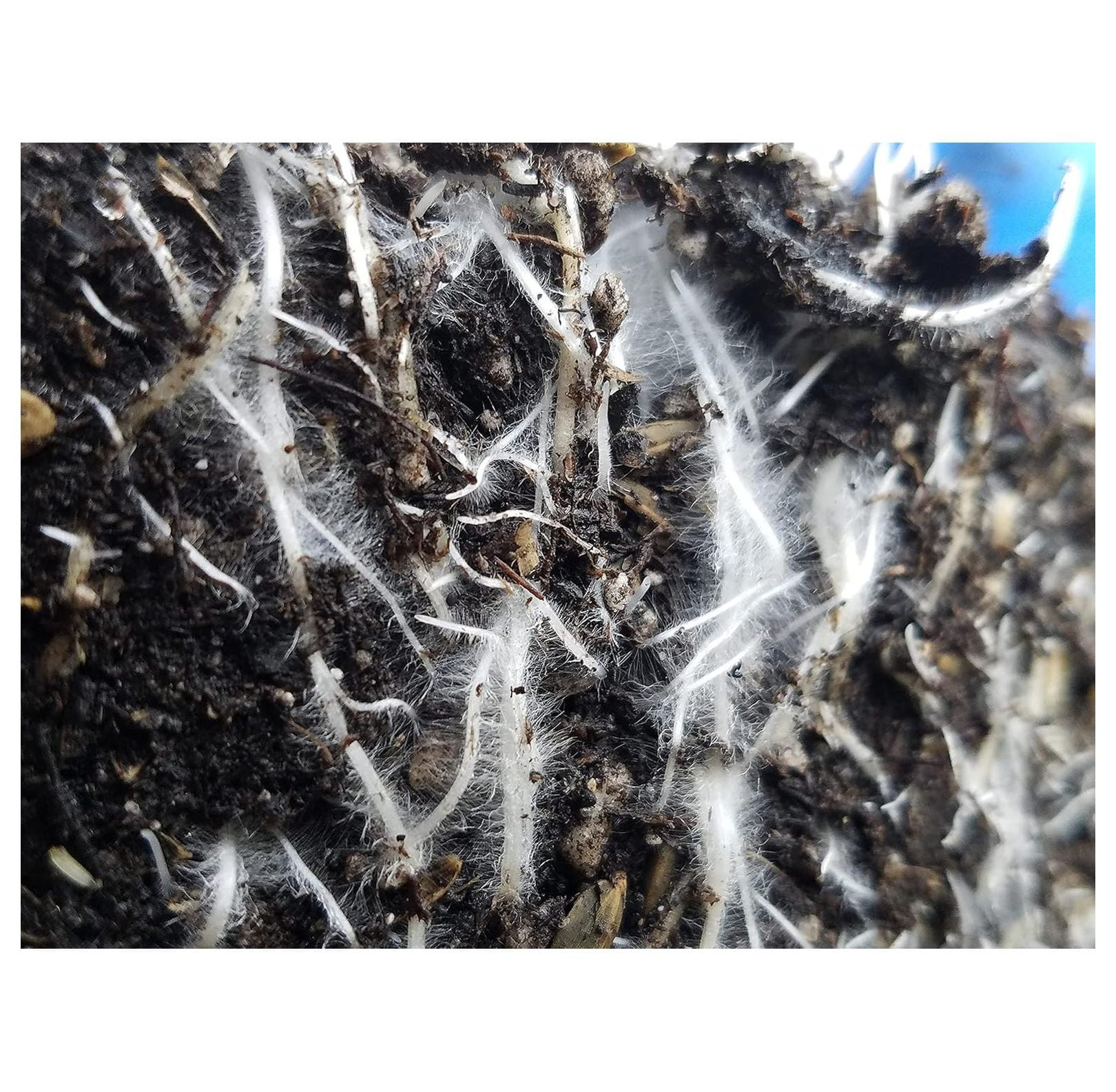 Compost Tea Brew Bag - 5 Gallon Bucket Size (9x14 inch) - Reusable ...