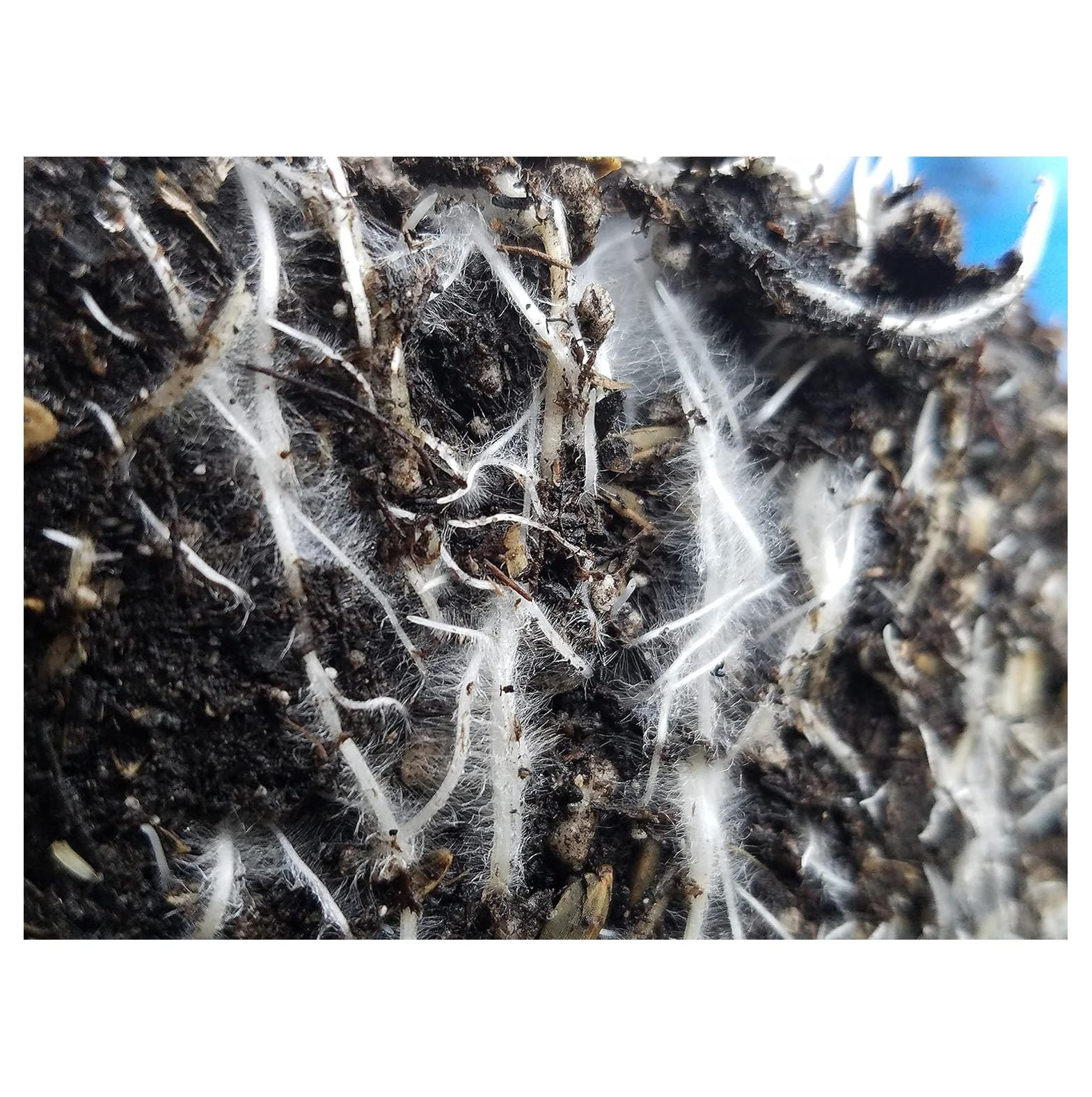 Compost Tea Brew Bag : Made to Last in The USA (5 Gallon Bucket Sized ...