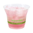Compostable 5 oz Clear Cold Cups - Walmart.com