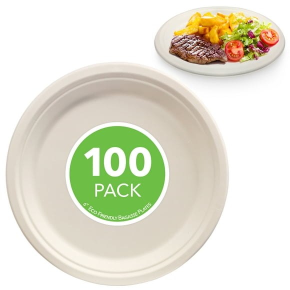 6" Disposable Plates