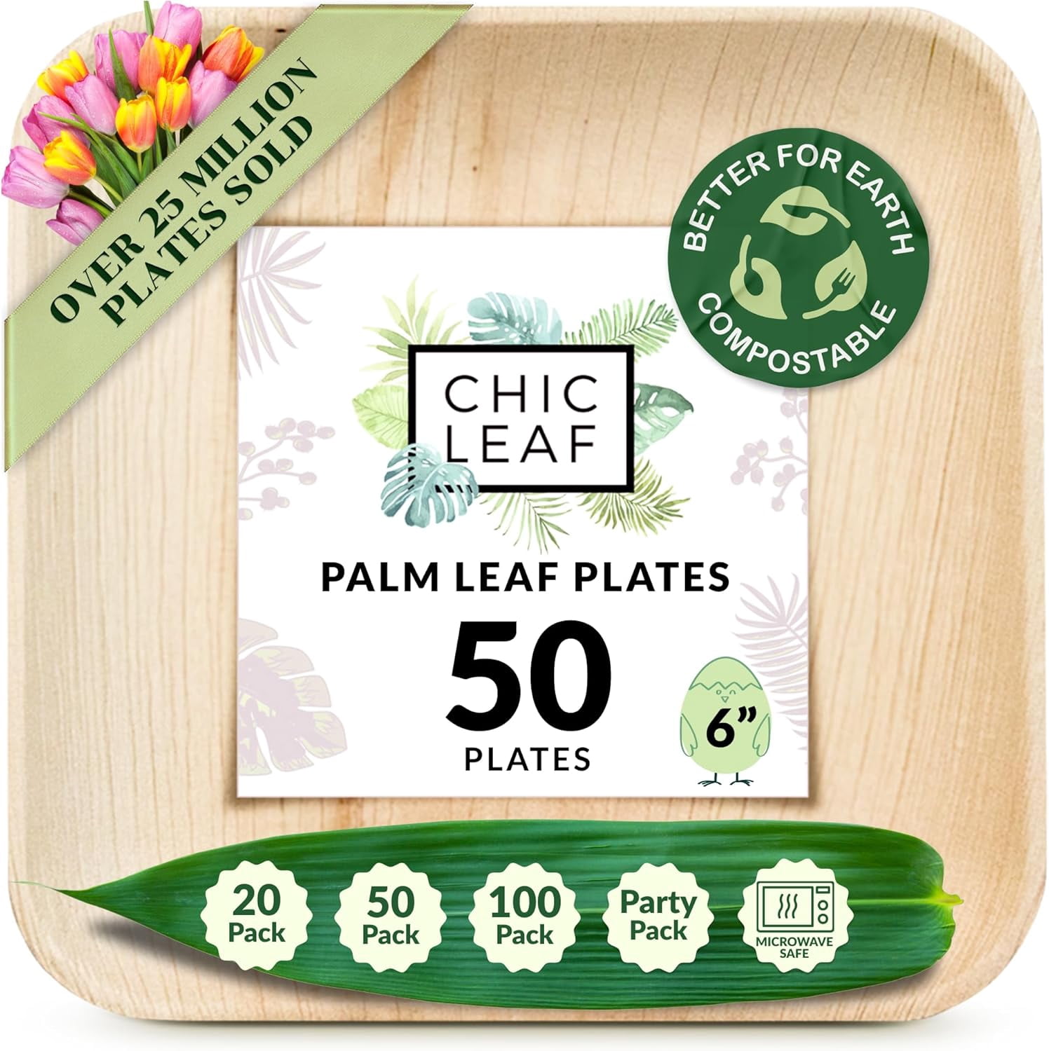 Compostable & Biodegradable Palm Leaf Disposable Bamboo Plates ...