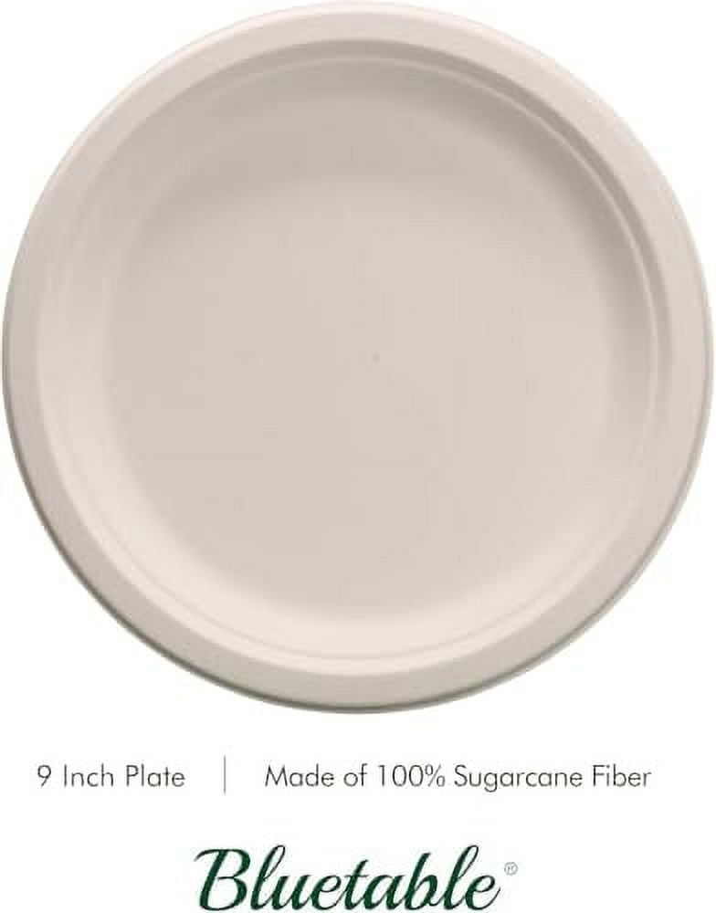 Compostable Paper Plates 9 Inch Bulk Plates [1000 Case Pack ...