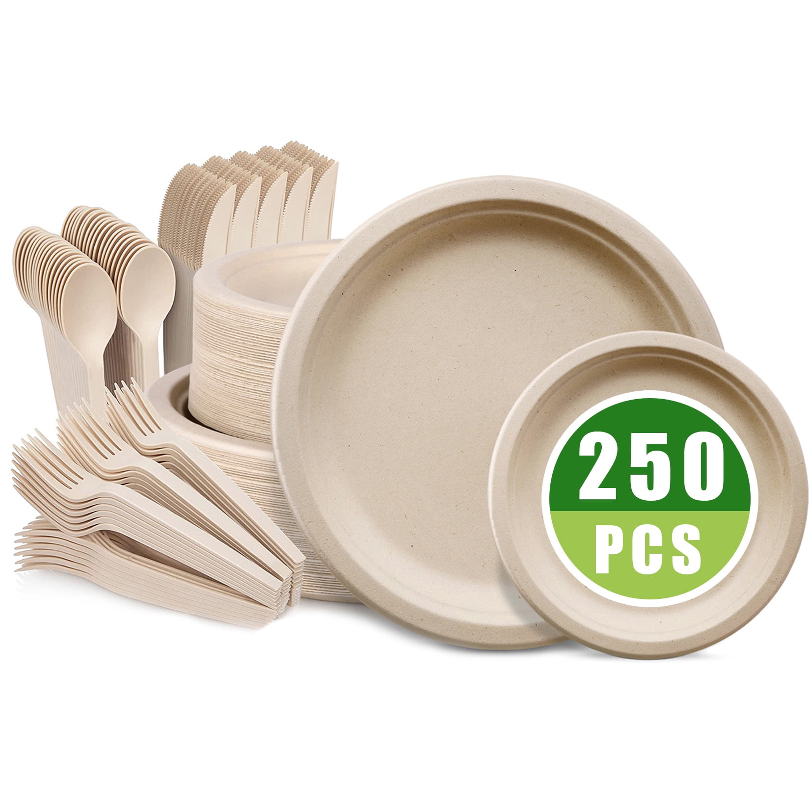 Compostable Paper Plates Set 250PCS Disposable Plates and Utensil ...