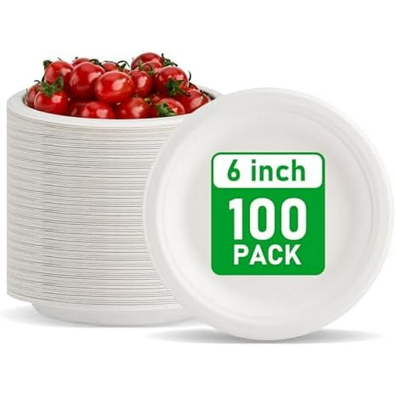 Compostable Small Paper Plates 6 Inch [100 Pack], Dessert Plates ...