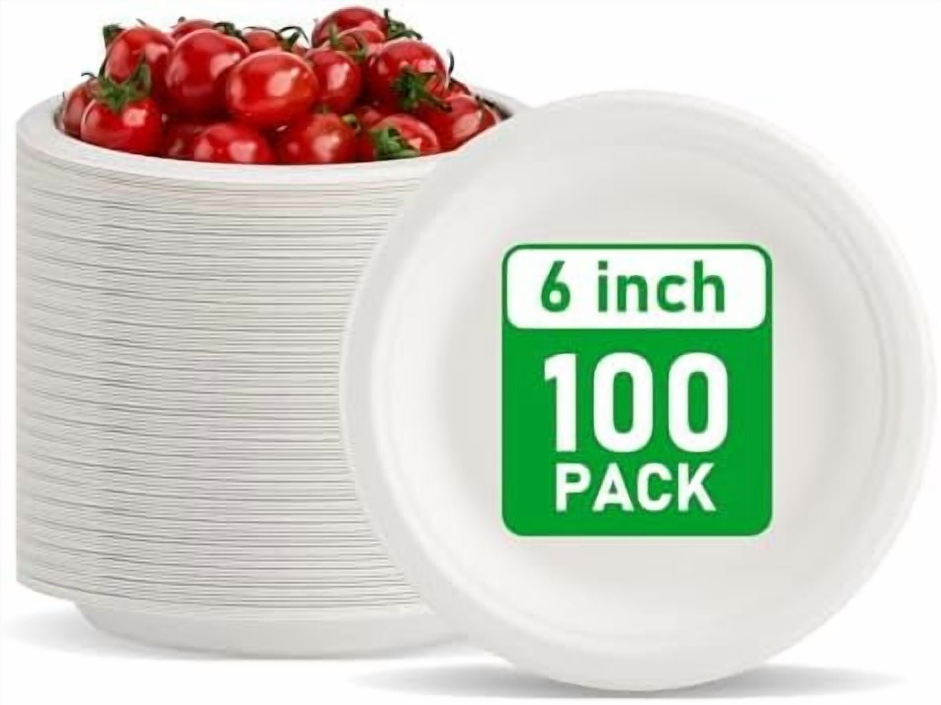 Compostable Small Paper Plates 6 Inch [100 Pack], Dessert Plates ...