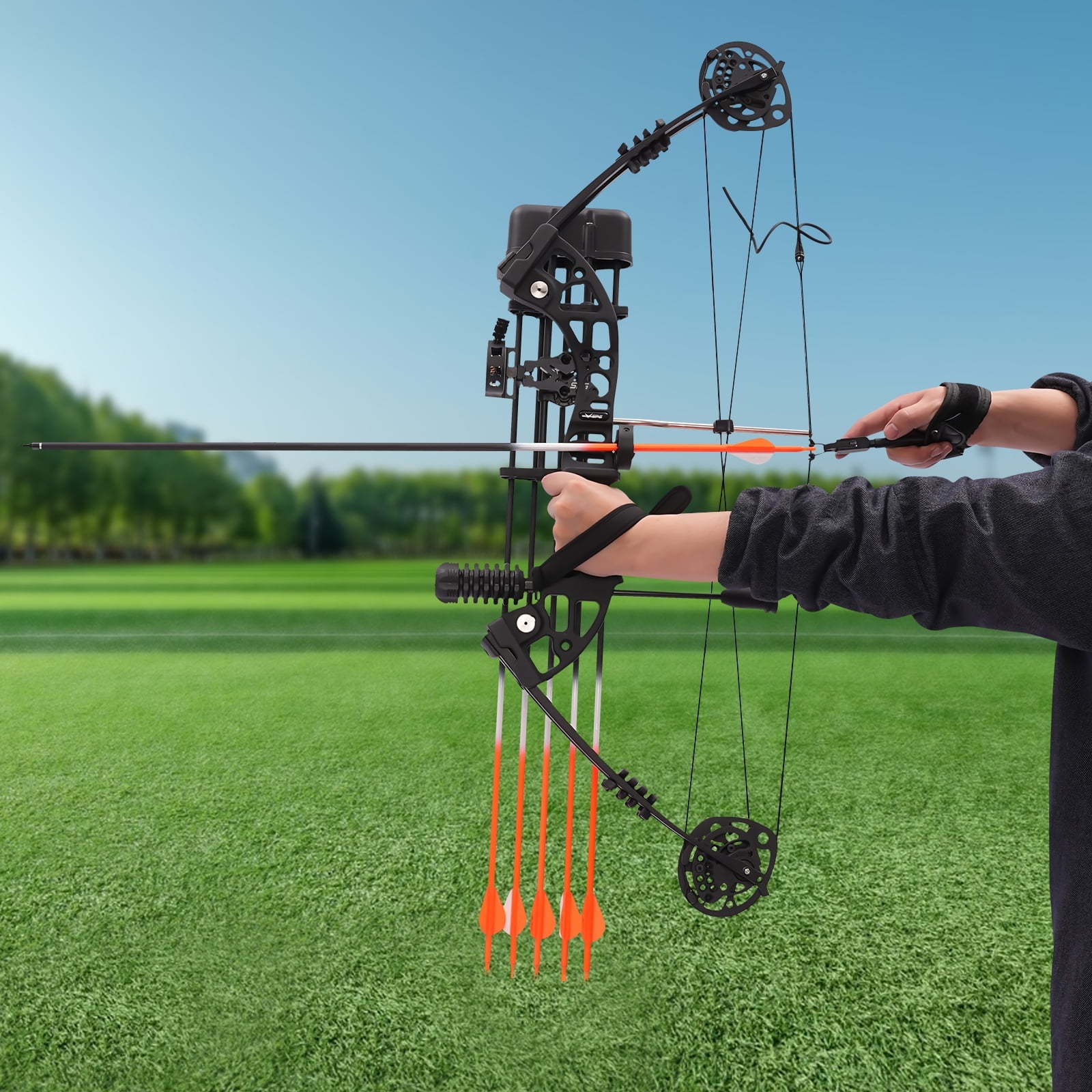 Compound Bow Set, Adjustable Draw Weight and length ,Archery Hunting 12 ...