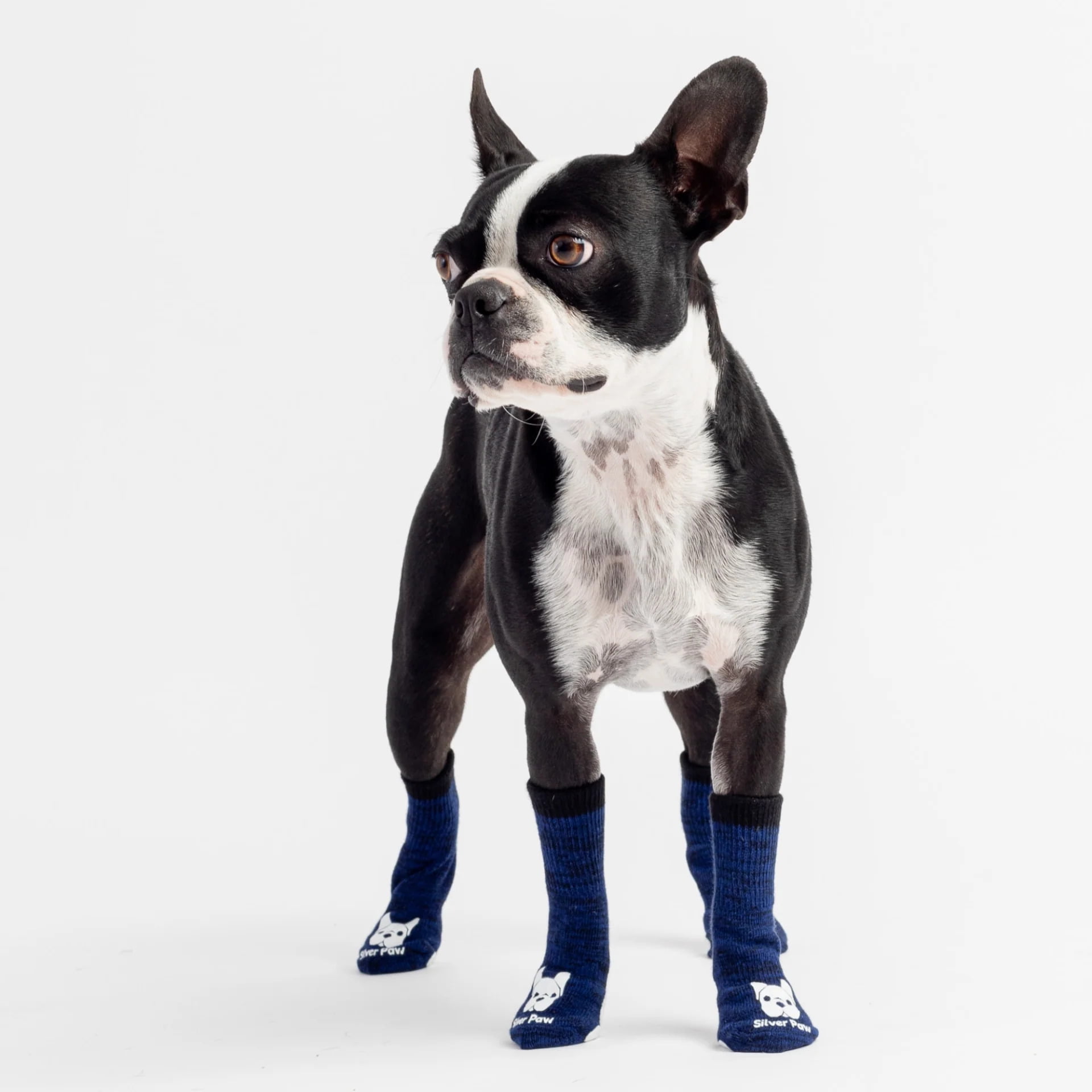 Compression Dog Socks - Blue - Walmart.com