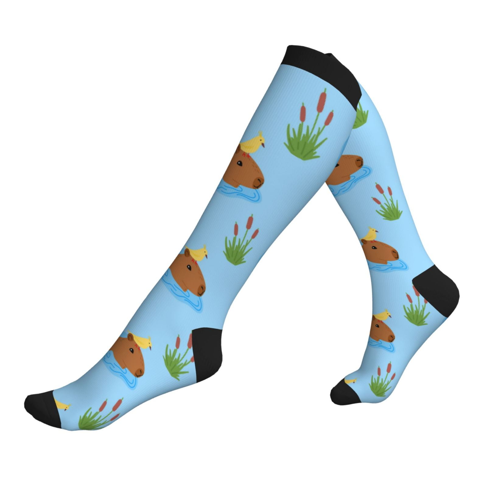 Compression Socks For Women And Men - Cute Capybaras Bird Compression Socks Circulation For ...