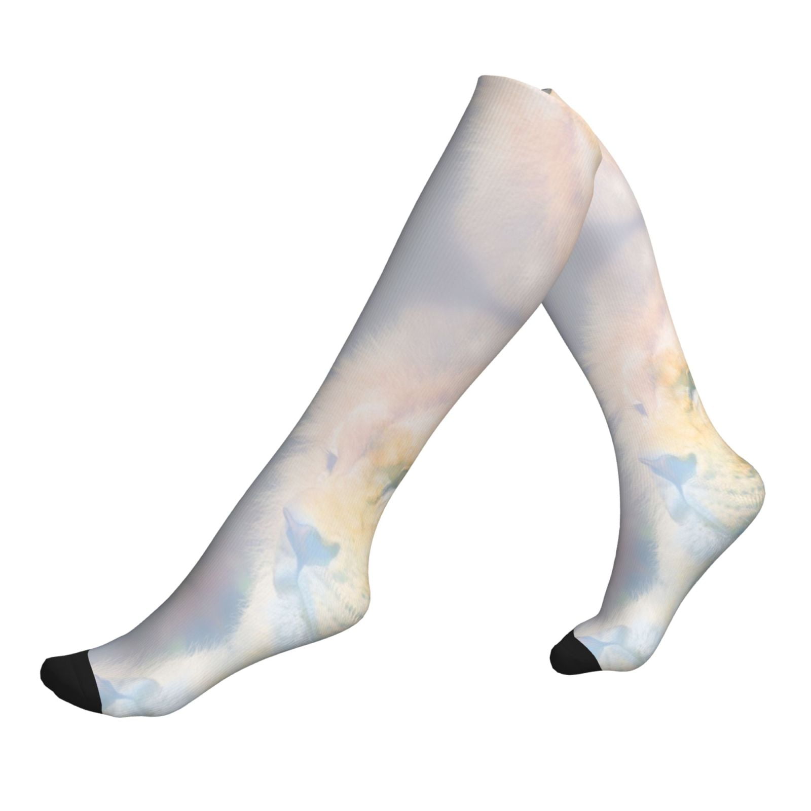 Compression Socks for Women and Men - The Cat Looks in the Mirror ...