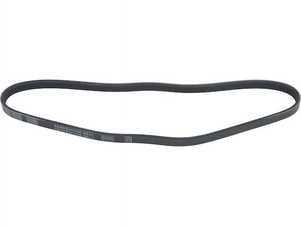 Bmw 330 Serpentine Belt