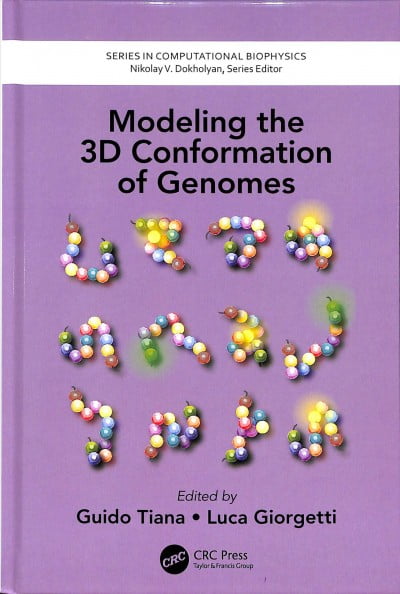 Computational Biophysics: Modeling the 3D Conformation of Genomes ...