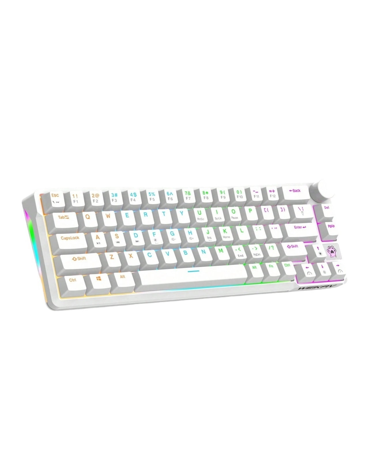 Computer keyboard RGB Backlit Waterproof Small Compact 61-key Keyboard ...