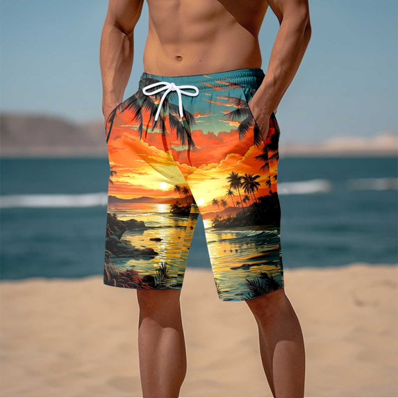 Conairie Mens Swim Trunks Graphic Print Quick Dry Bathing Suit Board ...