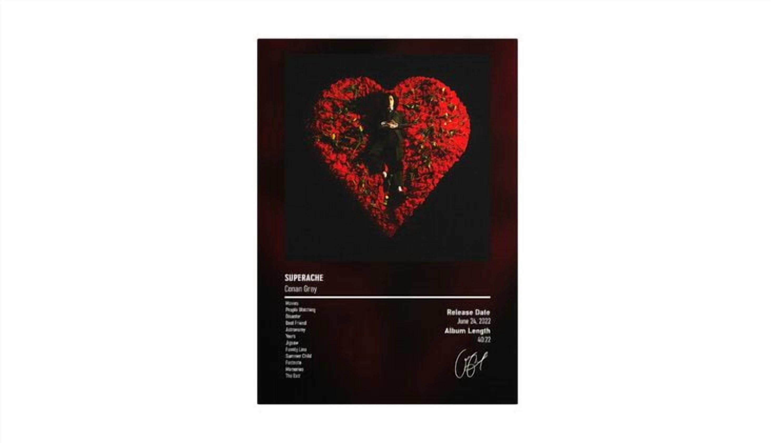Conan Gray Superache Album Poster, One Sheet Wall Size 24''x36 ...