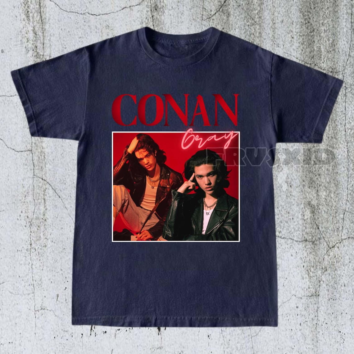 Conan Gray T-Shirt, Vintage Fan Merch, Concert Outfit Tee, Unisex ...
