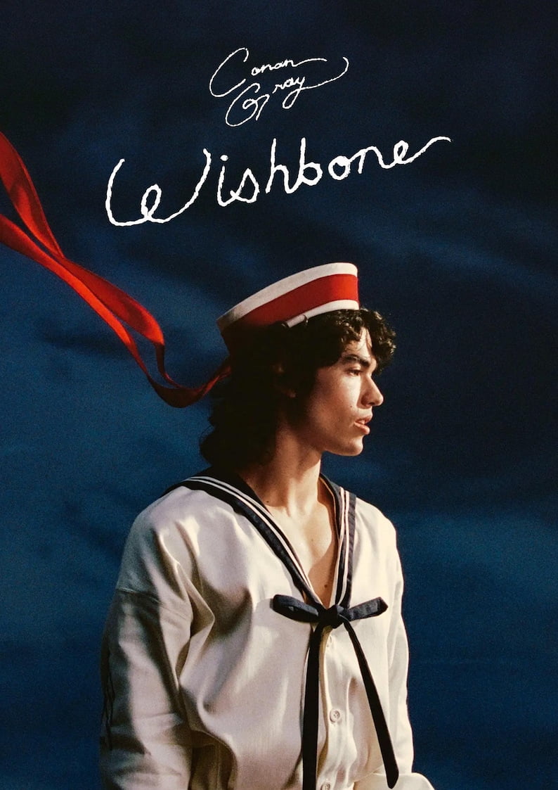 Conan Gray Wishbone Era Poster, Indie Pop Music Wall Art, Moody Album ...