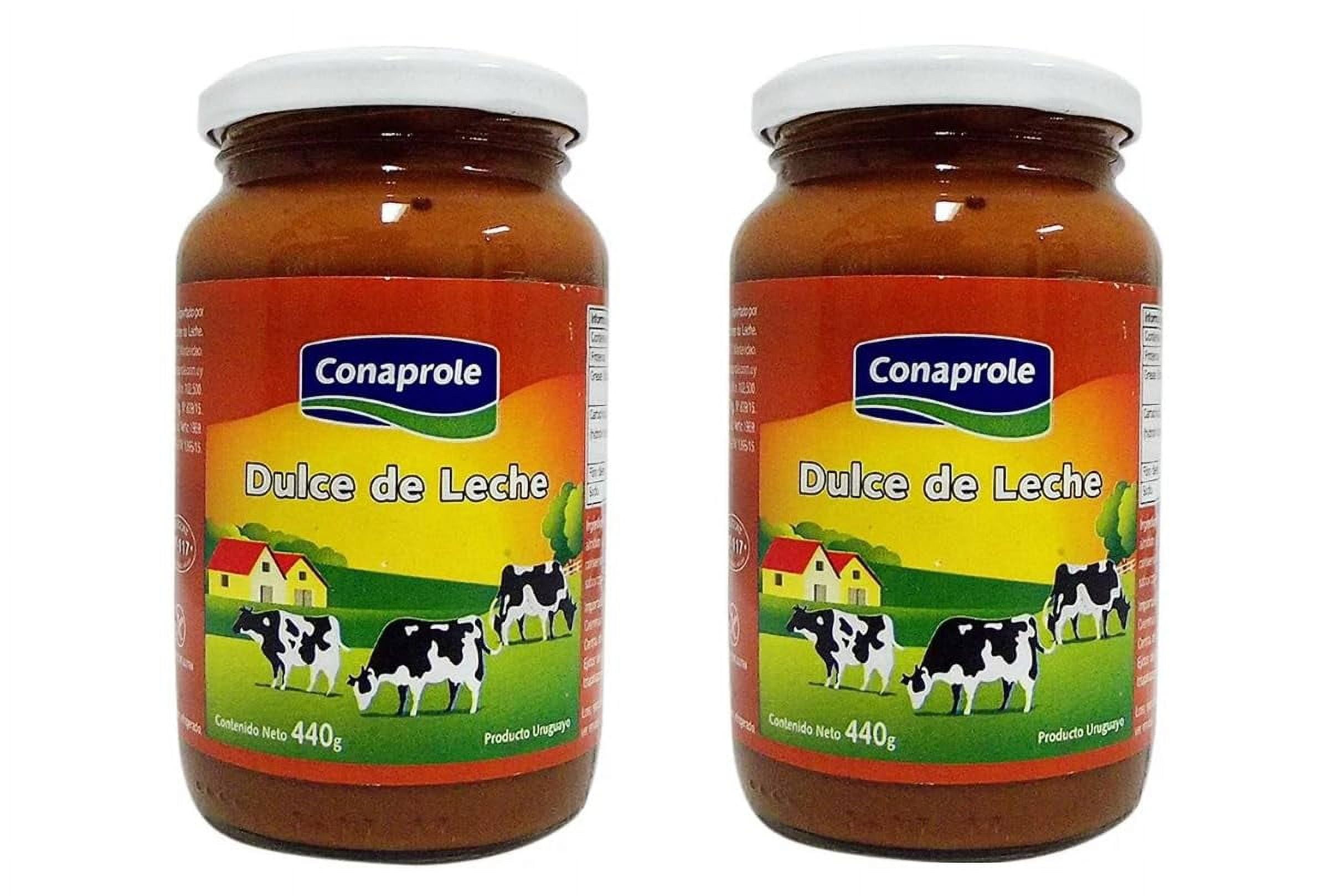 Conaprole Dulce De Leche Milk Caramel Spread - Walmart.com