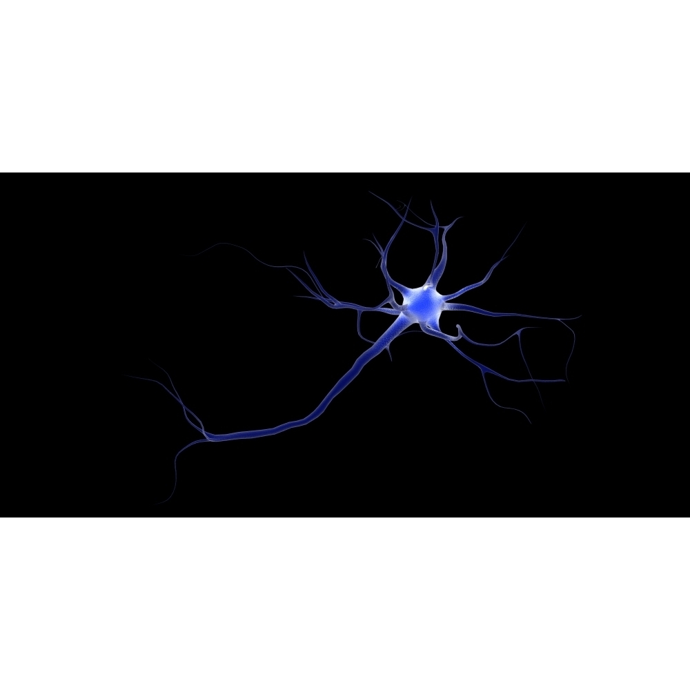 Conceptual image of a neuron Poster Print - Walmart.com