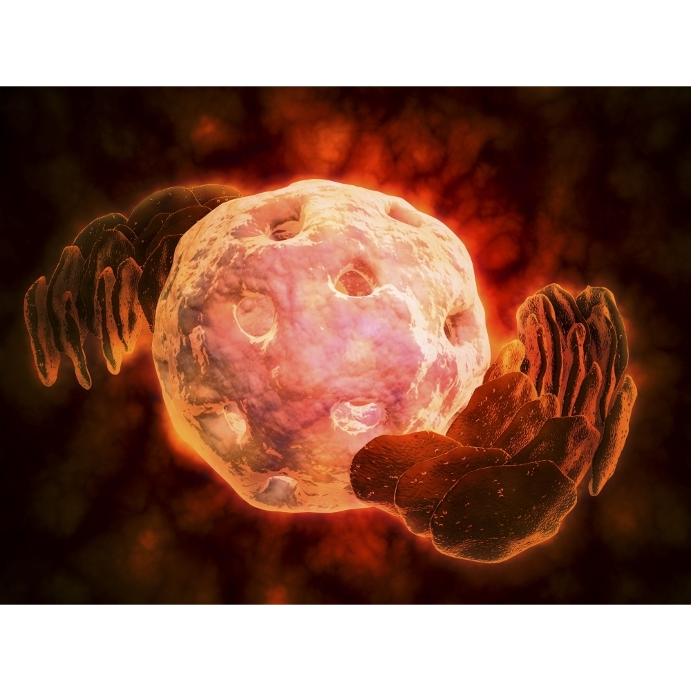 Conceptual image of endoplasmic reticulum around a cell nucleus Poster ...