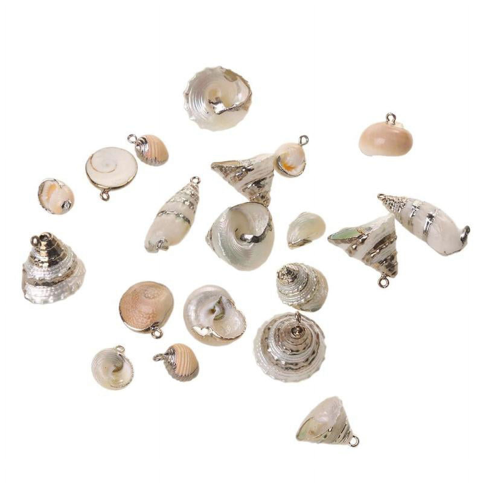 Conch Beads Jewelry Making DIY Crafts Beach - - Walmart.com