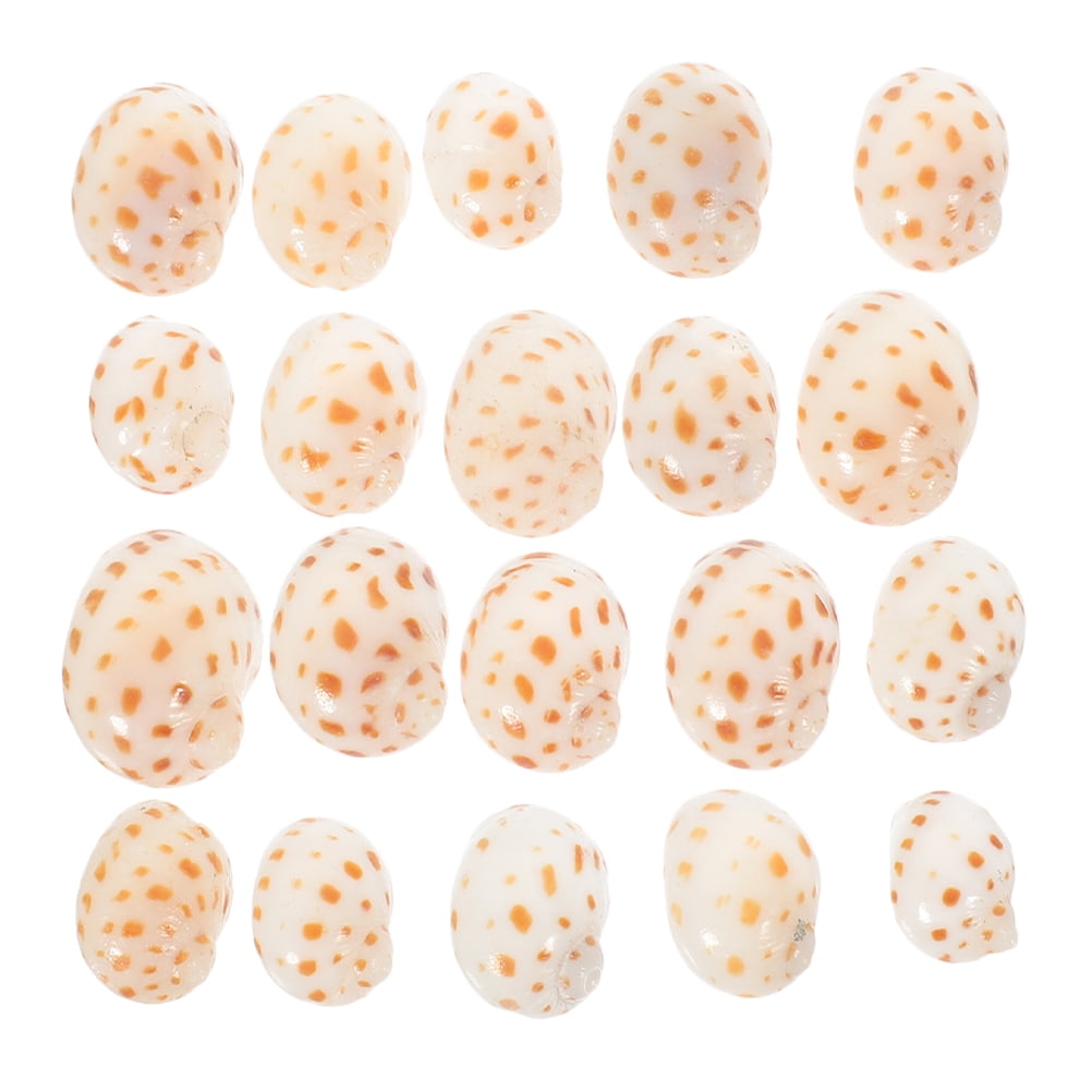 Conch Craft for Fish Tank Micro Landscape Ornament Hermit Crab Shells ...