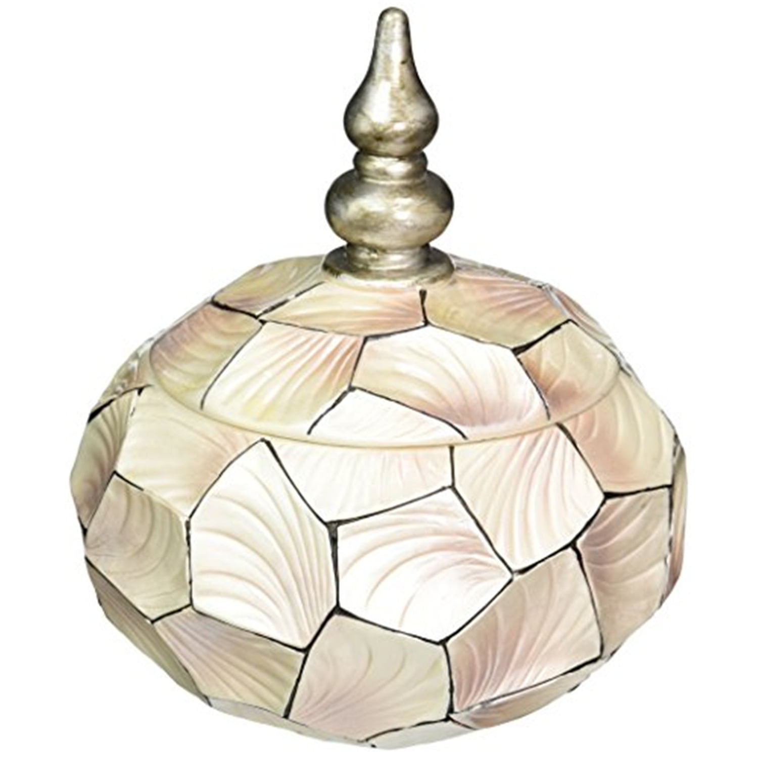 Conch Shell Round Box - Walmart.com