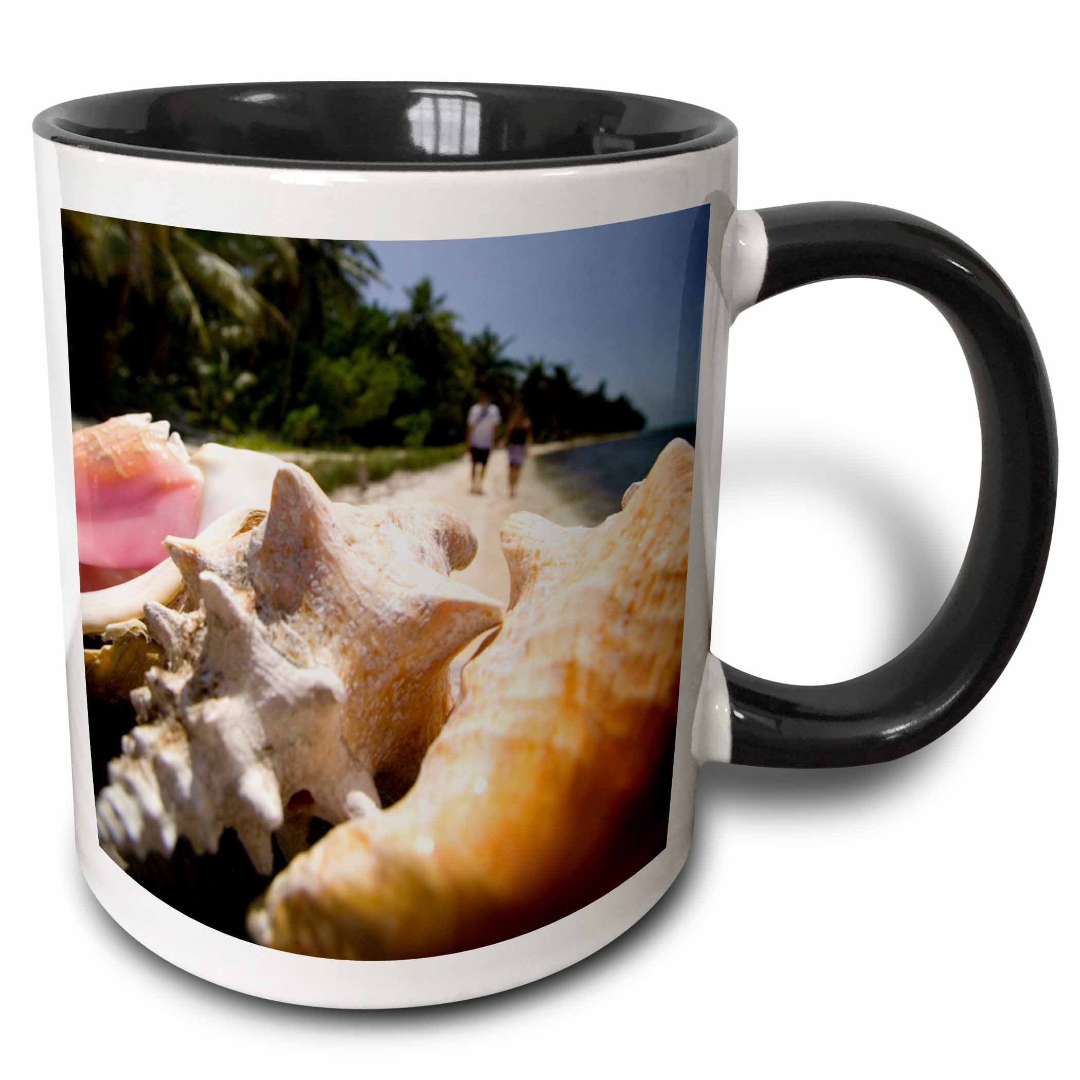 3drose, Conch Shells, Half Moon Caye, Belize - Sa02 Sws0019 - Stuart ...