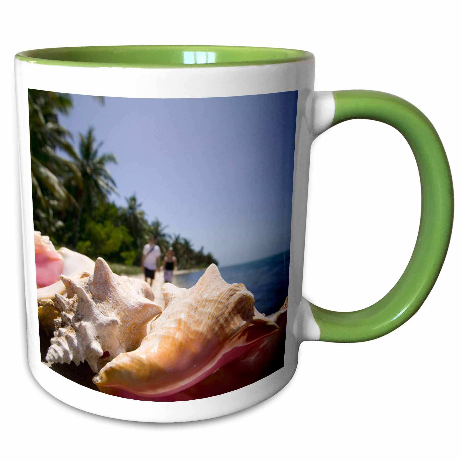 3drose, Conch Shells, Half Moon Caye, Belize - Sa02 Sws0020 - Stuart ...