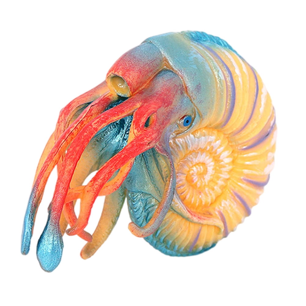 Conch Toy Ornament Toys Prehistoric Animal Miniature Nautilus Ornaments ...