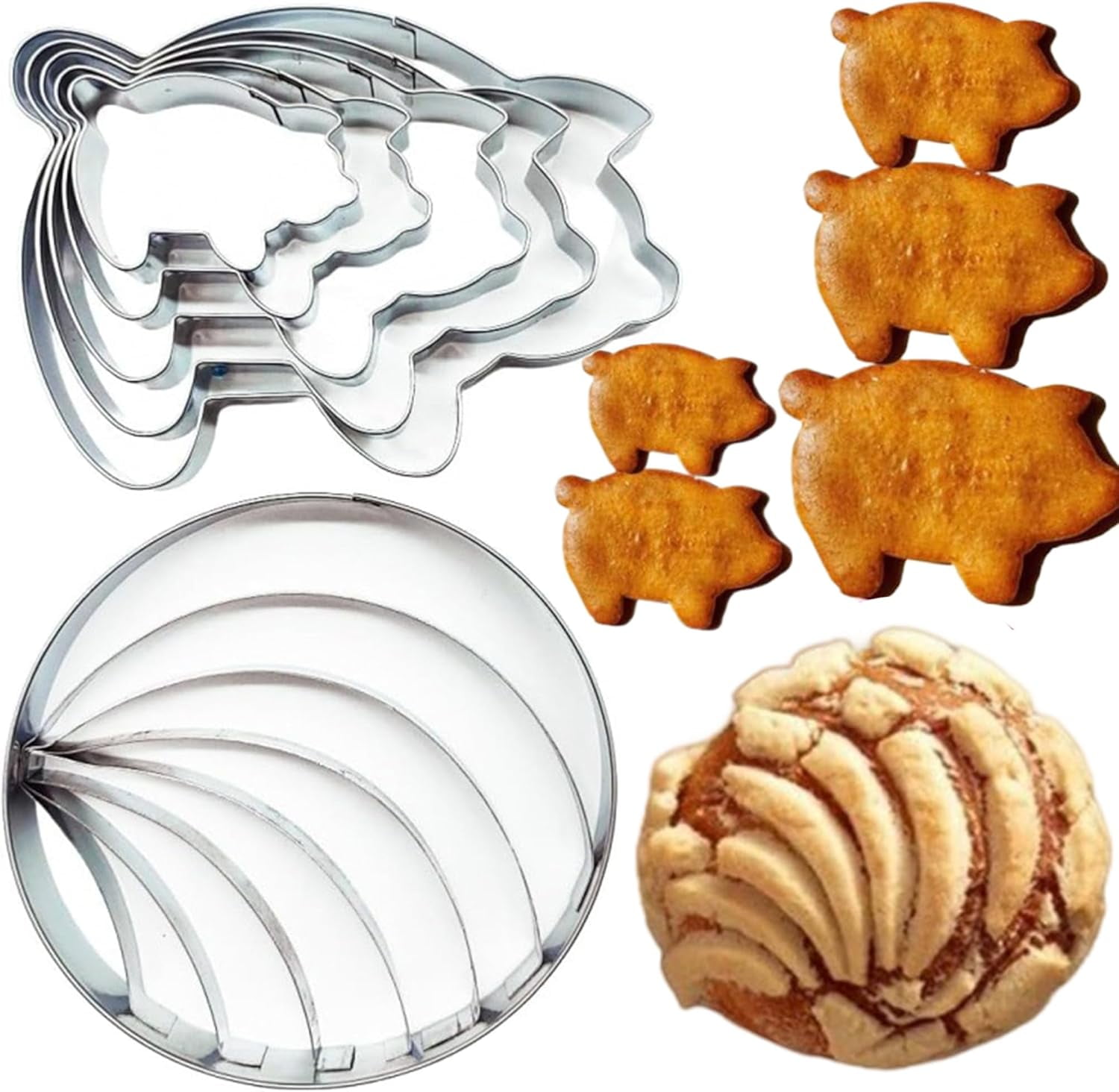 Concha Cutter Mexican Bread Mold: Stainless Steel Cookie Molds with 5 ...