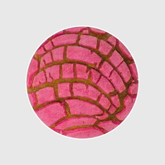 Concha Blanket | Pan Dulce Throw | Pink Concha Round Foodie Funny ...