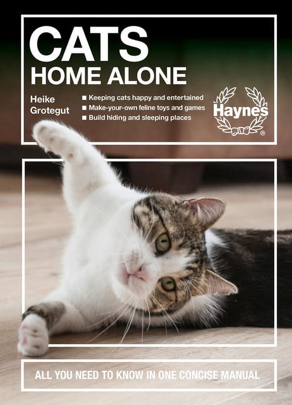 Concise Manuals: Cats Home Alone : All You Need to Know in One Concise ...
