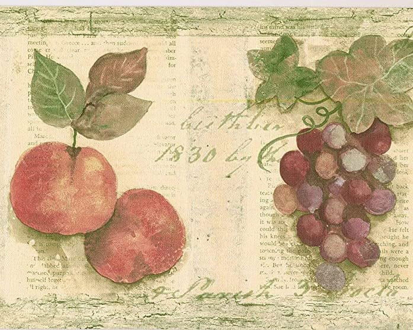 CONCORD WALLCOVERINGS Fruits Themed Wallpaper Border, Pears Grapes ...