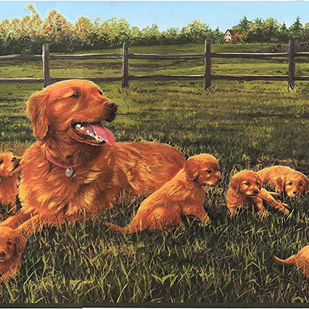 Concord Wallcoverings Golden Retriever Wallpaper Border Featuring ...