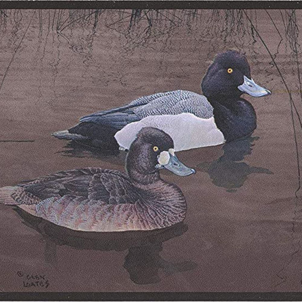 Concord Wallcoverings Wallpaper Border Classic Pattern Duck for Kitchen ...