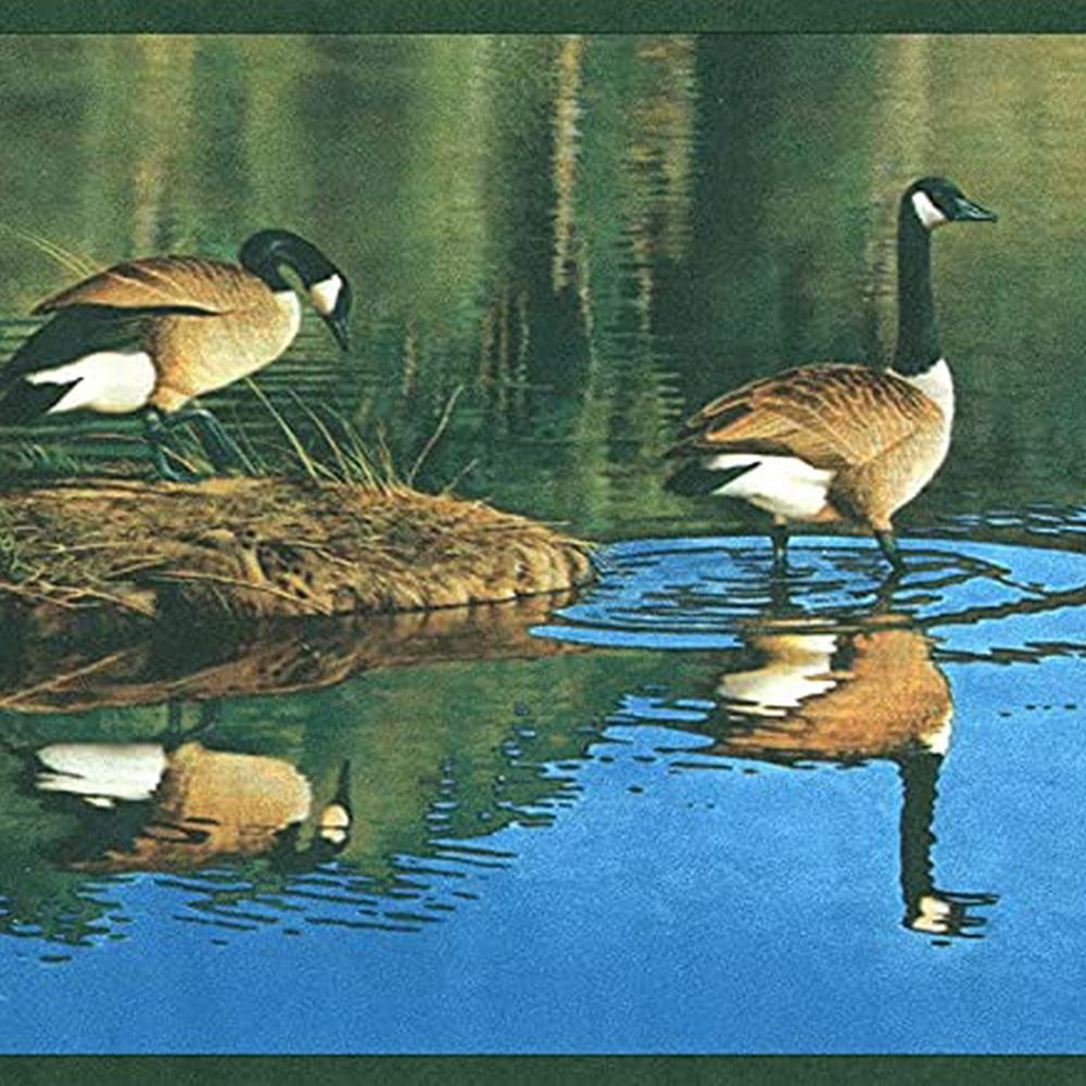Concord Wallcoverings Wallpaper Border Natural Pattern Gooses Lake ...