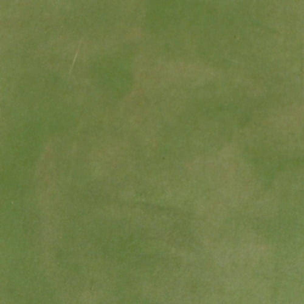 Concrete Acid StainSemi-Transparent Professional Grade Cement Stain (Olive Mist, 1 Gallon ...