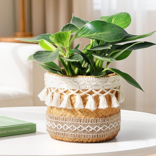 Concrete Rattan-Style Plant Basket Planter, 5" Boho Plant Pots Indoor ...