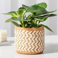 Concrete Rattan-Style Plant Basket Planter, 5" Outdoor Indoor Plant ...
